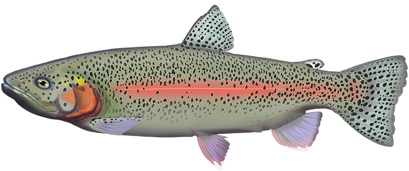 Fishing River Environments - MarineWise