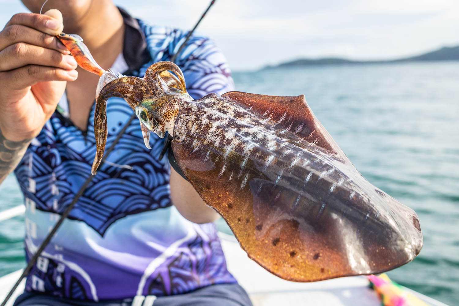 How to catch squid - Marinewise