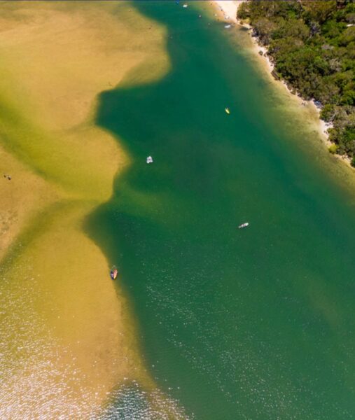 Estuary Environments - MarineWise