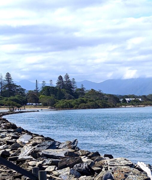 Break Wall Environments - MarineWise