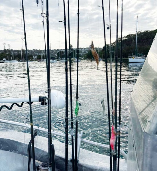 How to catch squid - Marinewise