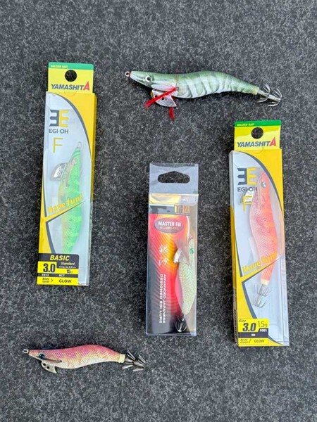 How to catch squid - Marinewise