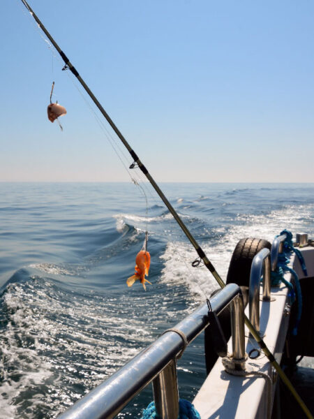 Paternoster Rig & Variations - MarineWise