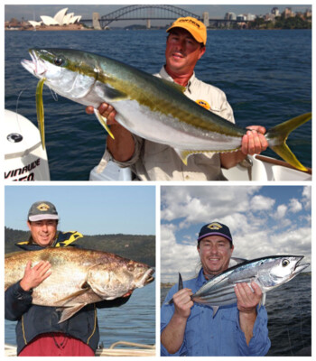 Sydney Harbour Kingfish Fishing With Craig McGill - Marinewise