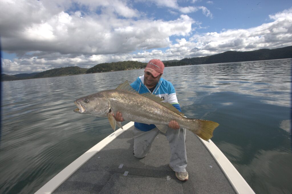 How to Catch Trophy Hawkesbury Jewfish on Lures - MarineWise